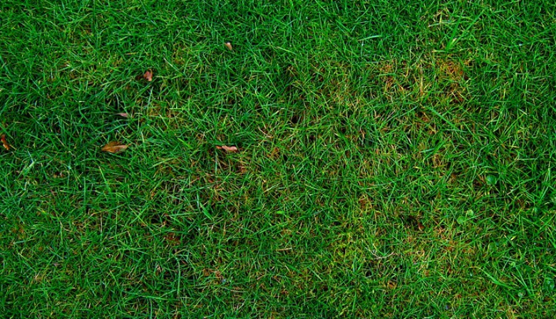 Graspollenexplosie laat nog even op zich wachten